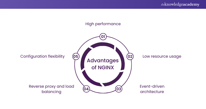 Apache vs NGINX: Which Web Server Reigns Supreme?